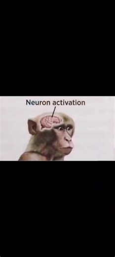 neuron activation meme #alizasehar #sehar #humor