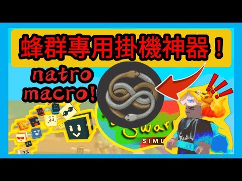 蜂群掛機專用神器！Natro Macro！自動採集田與蒐集材料！//Roblox🐝蜂群模擬器🐝