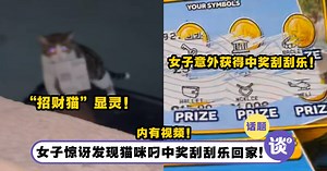 【内有视频】“招财猫”显灵？女子惊讶发现猫咪叼着「中奖刮刮乐」回家，网友打趣：它在付房租！