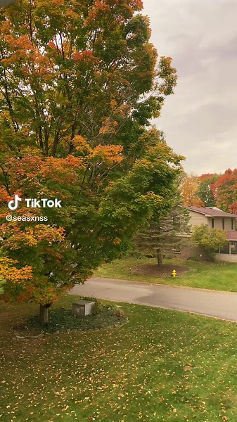 Exploring the Beauty of Four Seasons with Nature