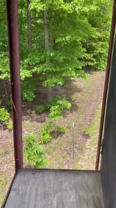 Reply to hunting with dad and climbing tree stands #dadsoftiktok #hunting #deer #southernaccent | SNUFF CUP