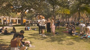 7K views · 336 reactions | Florida is getting a head start on spring.   | University of Florida | Facebook