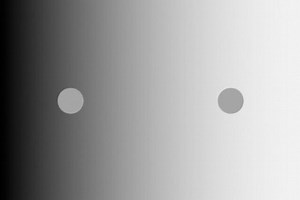 Science Finally Explains This Classic Optical Illusion