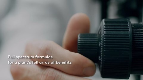 Gaia Herbs Ginger Supreme - Supports Healthy Digestion and Relieves Occasional Nausea - with Organic Ginger Root and Turmeric Root - 60 Vegan Liquid Phyto-Capsules (60-Day Supply)