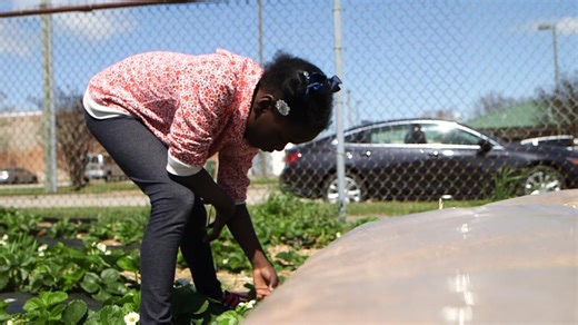 How 'micro-farming' is growing big opportunities for a better lifestyle in Hampton Roads