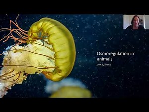 Osmoregulation (Part 2)