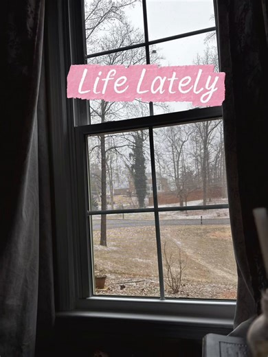 A small glimpse of what I’ve been up to recently 💕 #booktok #writercommunity #writertok #reading #lifelately