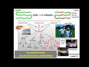 Euchis Webinar #1 - Bruno Moerschbacher - Structure-function relationships of chitosans