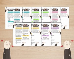 Kitten Essentials Checklist: New Cat Owner Guide (digital Download, PDF) - Etsy