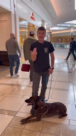 Elite K9 Service on Instagram: "Block Command Training 🐕‍🦺"