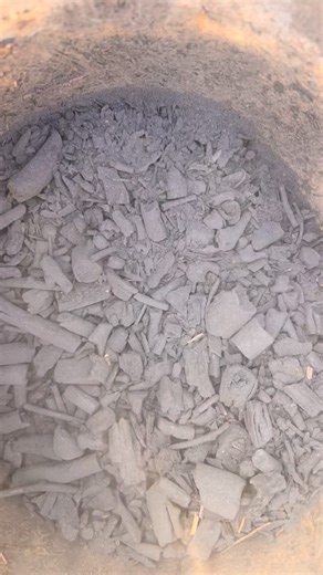 Duck Muck Biochar Now Available @santacruzriverfm & Rillito @heirloomfm $14 a gallon with a $6 bucket refundable deposit 🦆 Did you know ducks are secret superheroes for your garden? Duck muck (aka that nitrogen-packed goodness from their droppings) is the ULTIMATE way to ‘charge’ biochar—like giving a super-sponge a nutrient power-up! Raw biochar? It soaks up soil goodies like a thirsty vampire 😈 (temporarily stealing nutrients from your plants). But charge it first with duck muck? Boom! 🌱 Ho