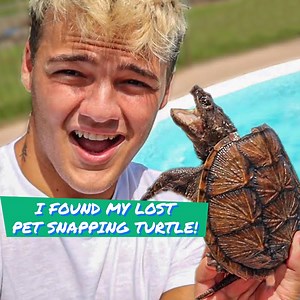 My Old Snapping Turtle Came Back To Chill Out In My Pool | Paul Cuffaro