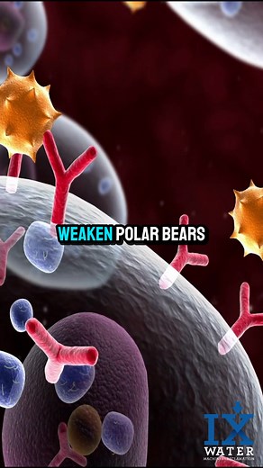 Join us. Invest in IX Water on StartEngine! 🌊 ➡️ startengine.com/ix-water #startengine #investing #cleantech #startup #crowdfunding #animals #company #greenfuture #waterislife #water #climateaction #StartupInvesting #IXWater | IX WATER