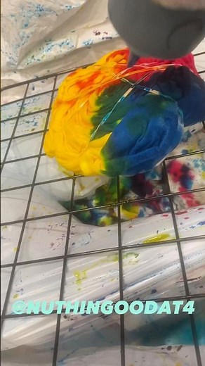 SMALL BATCH Traditional Tie Dye RAINBOW COLORWAY