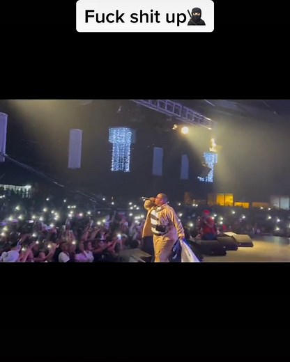 Lively Concert Performance with Enthusiastic Crowd