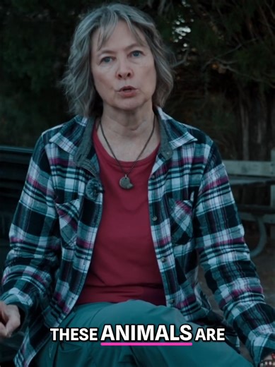 The REAL Reason Bigfoot are NOT Caught on Trail Cams! Is Bigfoot real in Florida? Does the Skunk Ape of the Everglades truly exist? Are Sasquatch sightings in the southeastern United States evidence of an undiscovered primate species, or could some encounters be explained by feral apes living deep in Florida’s swamps and wetlands? In this free bigfoot documentary investigation, Wildman of the Woods travels into some of the most remote and difficult-to-access regions of Florida alongside Tami Gri