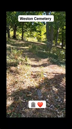 42K views · 1.1K reactions | I get the feeling the chipmunk response is a nickname or a name of a group of individuals. Weston is awesome  #paranormal #fblifestyle #cemetery #communication #spirits #exploremore | The Paranormal Couple | Facebook
