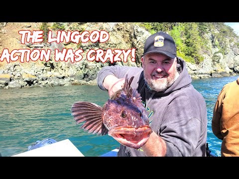 Lingcod Fishing Puget Sound Washington | San Juan Islands Opening Day 2024