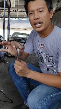 Basic tips how to determine the correct valve shim clearance and how to do it on K6A engine.