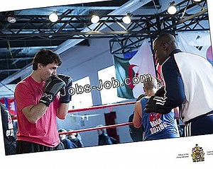 Comment Développer Les Compétences De Mentorat | Recherche d'emploi - 2026