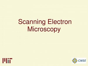 Scanning Electron Microscopy - SlideServe