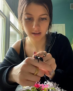 What the life of a rescued bee looks like 🐝🌸 | Furry Tails