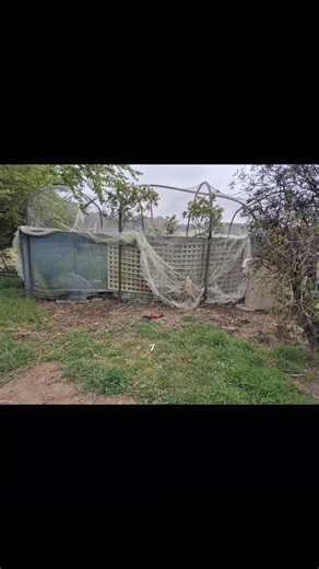 Commercial & Domestic Services on Reels