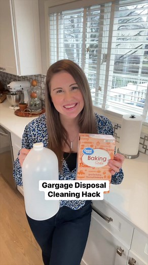 2.5K views · 48 reactions | Save this easy garbage disposal cleaning hack! It easily gets rid of the odor and yucky stuff.Follow for more recipes, DIY's, + life hacks!#cleaninghacks #howtoclean #howtocleanyourgarbagedisposal #kitchencleaning #cleankitchen | Young Wild Me | Facebook