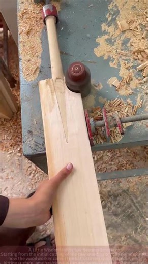 DIY Wooden Cricket Bat Tutorial: From Raw Log to Finished Bat”
