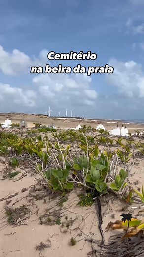 Você sabia que existe um cemitério na beira da praia em Amontada, no Ceará? O turismo em cemitérios, também conhecido como Turismo Funerário ou #necroturismo, é popular em algumas parte dos mundo. Aqui, não é tão popular com os demais estilos de passeios, mas a atividade vem crescendo impulsionada principalmente pelos interessados em história, arte, arquitetura e cultura em geral. Lembramos que esse lugar faz parte do percurso para Caetanos, mas se o cliente optar, não paramos. Apenas passamos d