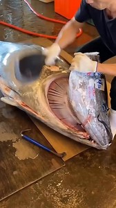 The rarest delicacy! The bluefin tuna’s jelly—the most expensive and sought-after part. A true luxury of the sea! | Loraine Estayan