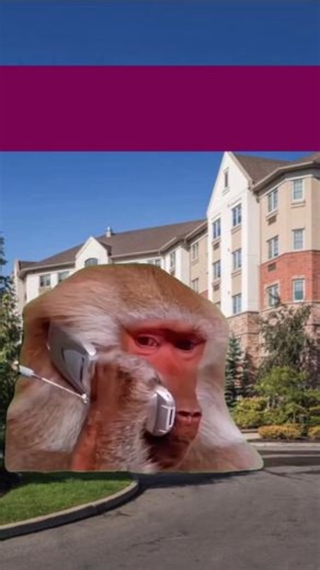 📞 Missed Call Alert: Residents at Chartwell are too busy enjoying a vibrant lifestyle filled with engaging activities, meaningful connections, and enriching experiences! | Chartwell Retirement Residences