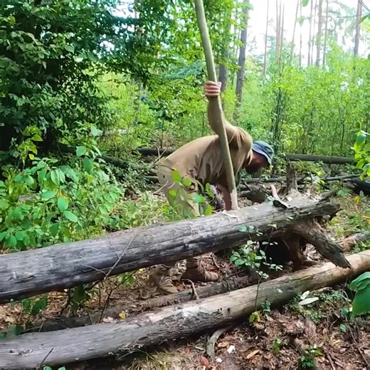 157K views · 5K reactions | Building a two-story dugout for the winter | Alex Bushcraft | Facebook