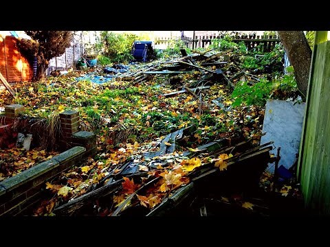 "It Looks Like A Bomb Has Gone OFF!" - My Biggest Garden Clearance So Far!