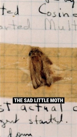 The First Computer Bug?