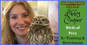 Cognitive enrichment and R  training for birds of prey [A video blog] - Animal Training Academy -
