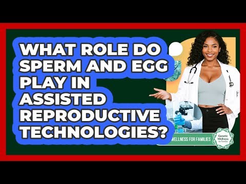 What Role Do Sperm And Egg Play In Assisted Reproductive Technologies?
