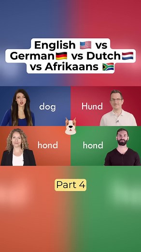 Comparing West Germanic Languages: Dutch, English, Afrikaans, and German