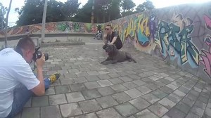 13 reactions | Magnate en SF Studio Medellin // Sesión de Fotos con Sebastian Franco. | SF Studio Internacional | Facebook