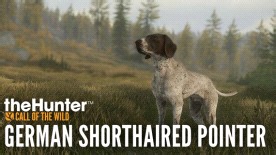 theHunter: Call of the Wild™ - German Shorthaired Pointer | PC - Steam | Game Keys