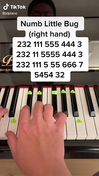 Learn to Play Numb Little Bug on Piano with this Tutorial!
