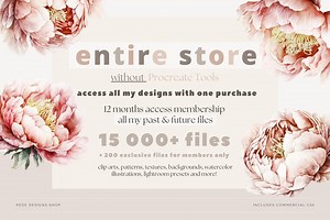 Entire Shop Bundle. Unlimited Access for 12 Months. Commercial Use. Pededesigns on Etsy. Without Procreate Tools. - Etsy