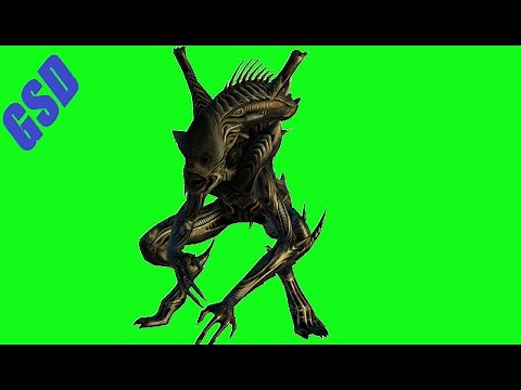 Alien Xenomorph Raven (Warrior/Lurker Crossed) Green Screens