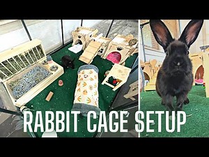 RABBIT CAGE SETUP and TOUR | Going From Being Dumped to Living in Luxury!