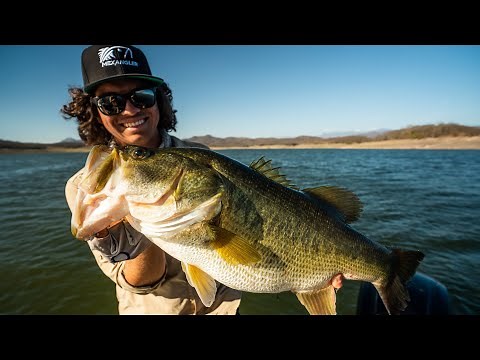 HOW TO CATCH BIG BASS IN SUMMER! | El Salto Dam