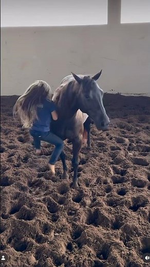 Bachi Di Horse Training 🐎🔥 #shorts #horse #horseriding #horses #horse