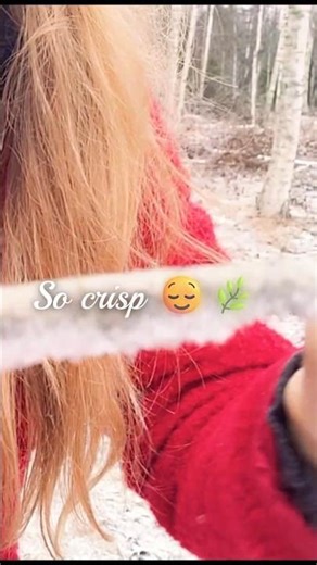 ASMR Breaking a Dry Twig 🌿 Crisp Snap Sounds