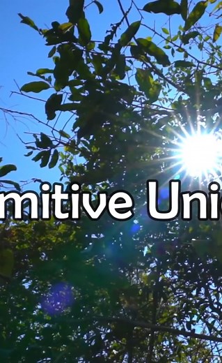 18 reactions | Primitive Unique Tool on Reels | Facebook