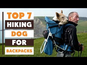 Top 7 Dog Carrier Backpacks for Hiking—Comfortable, Durable & Secure