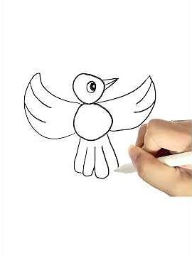 Easy Draw a Bird 🐦 Blue Bird #drawing #easydrawing